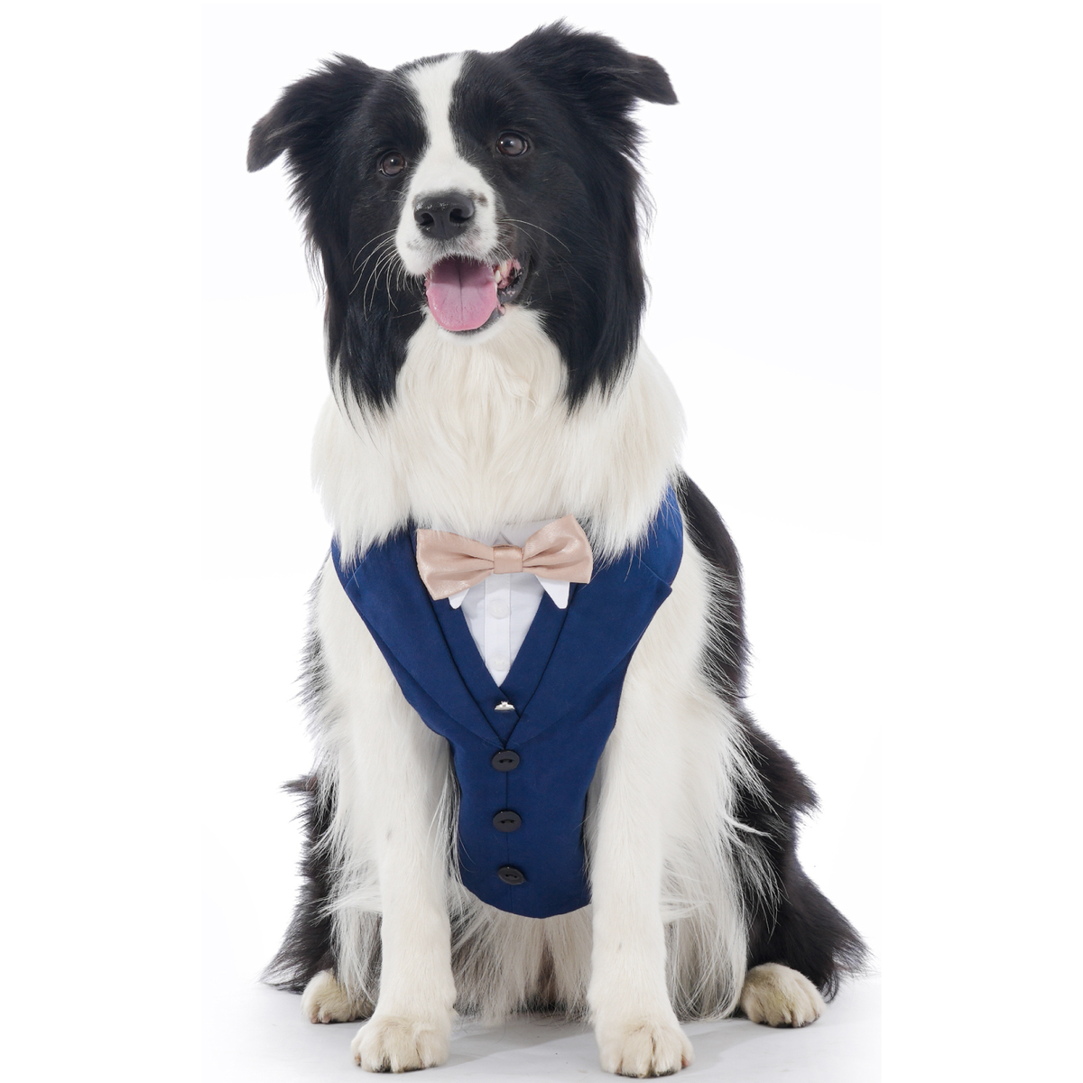 Designer Dog Suit Tuxedo – AveryDay